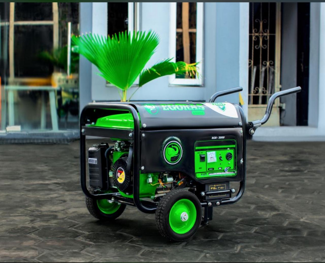 Egoras Duel Fuel Generator EGR3000 (Automatic) – Main Market Online